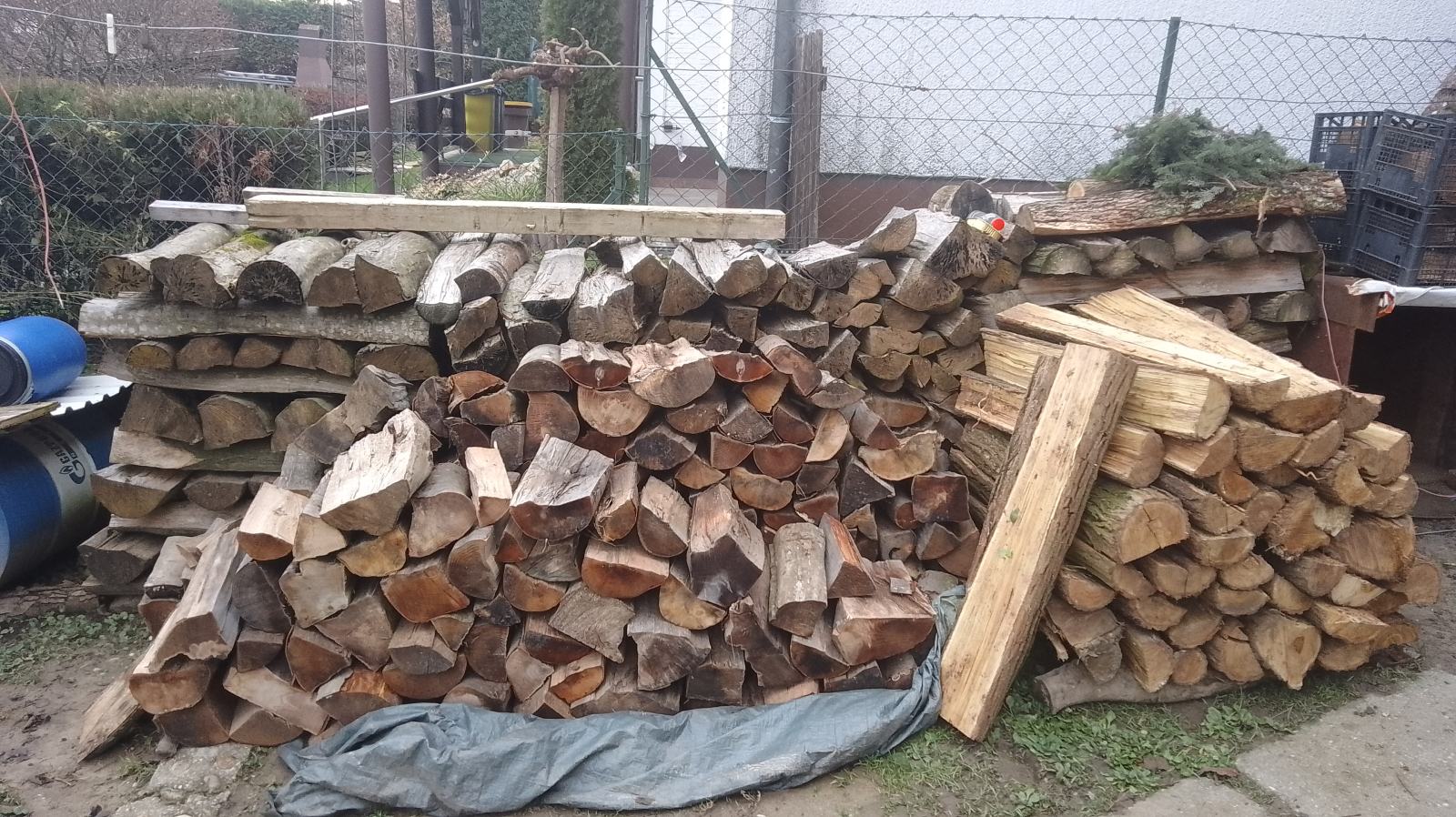 Grab, bukva, agacija