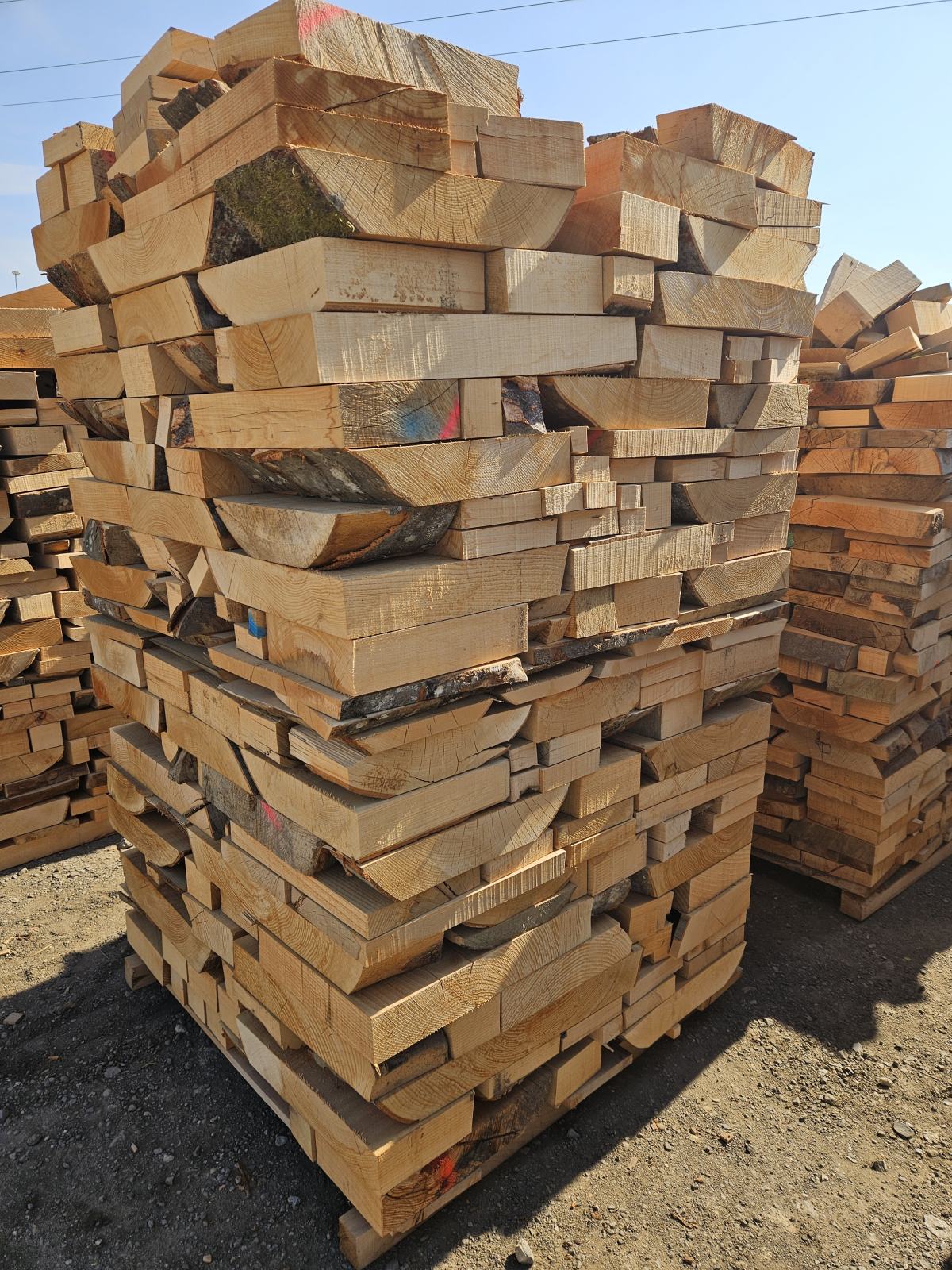 PILANSKA BUKVA I BUKOVI OKORCI,BUKOVE KOCKE