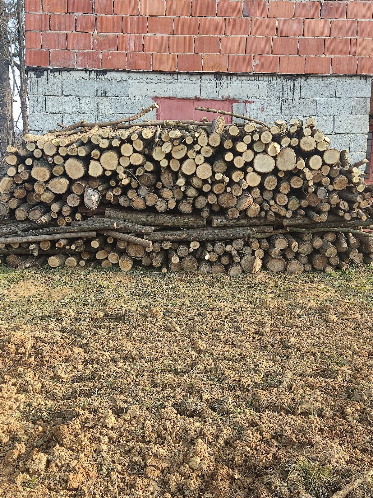 prodaje se drvo za ogrijev agacija