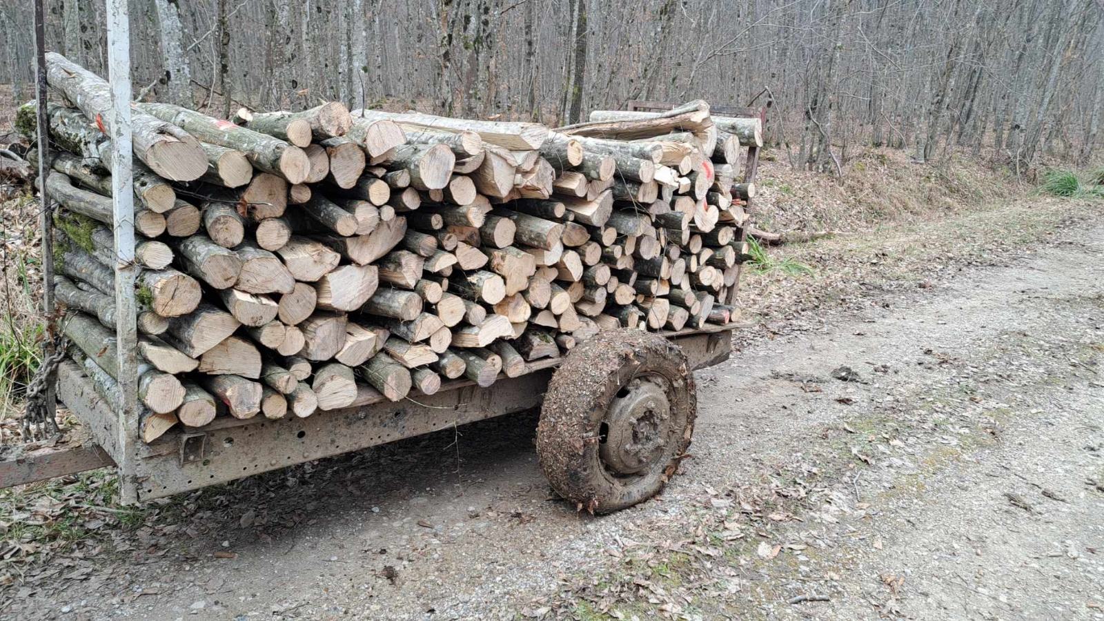 prodajem drva grab i bukva