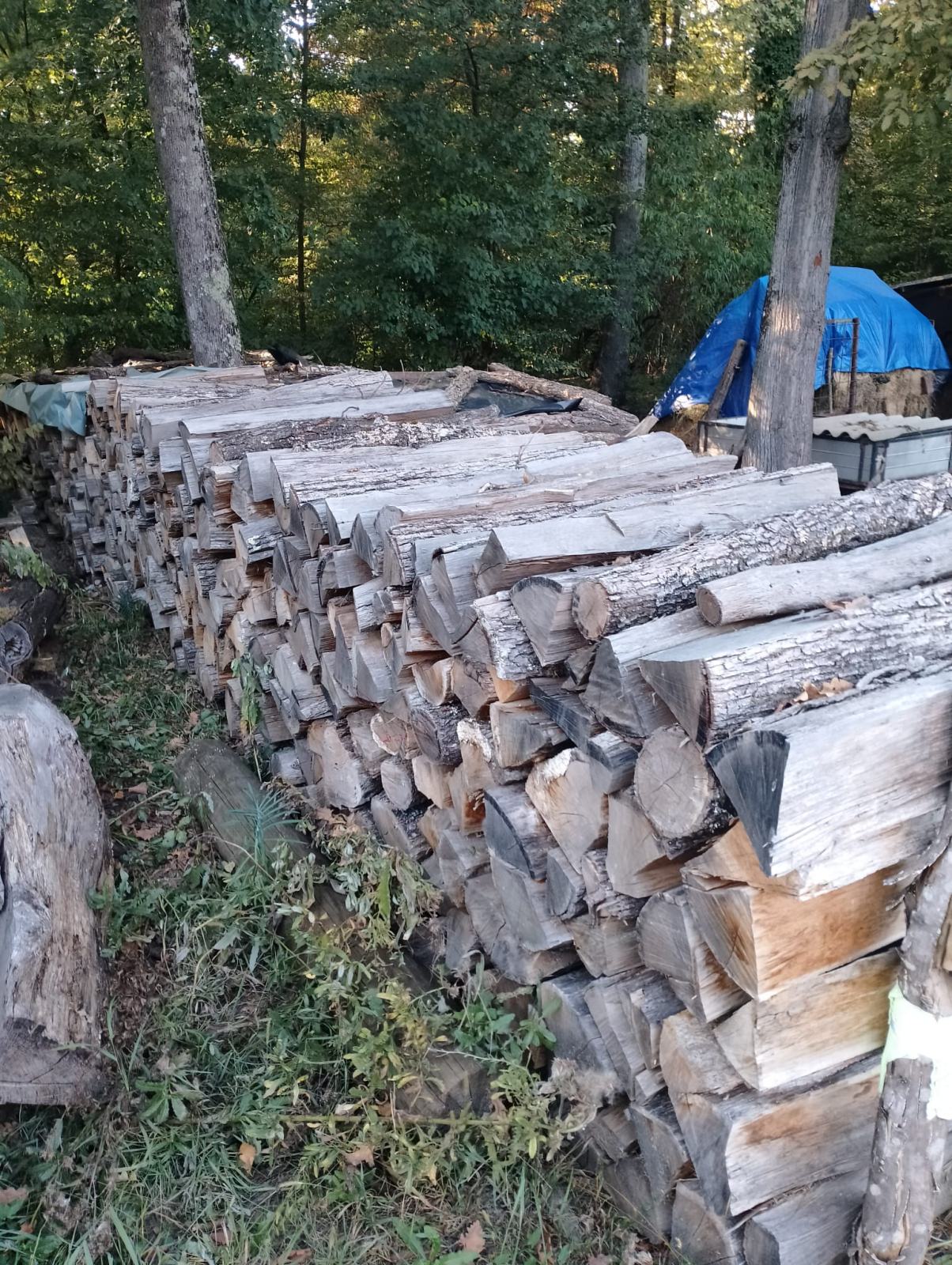 Suha hrastova drva (60€/m)