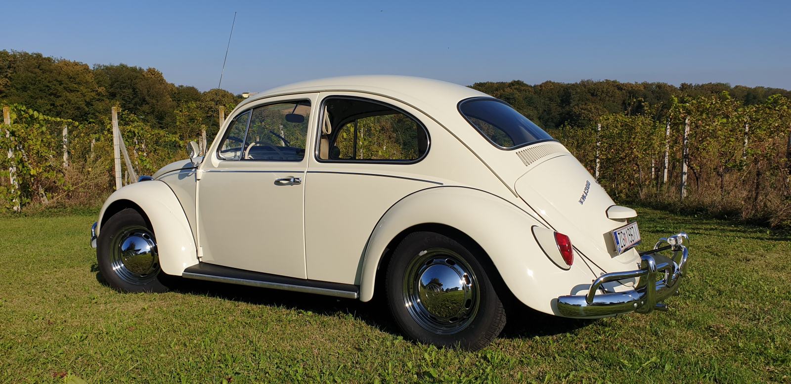 VW BUBA 1300 1967