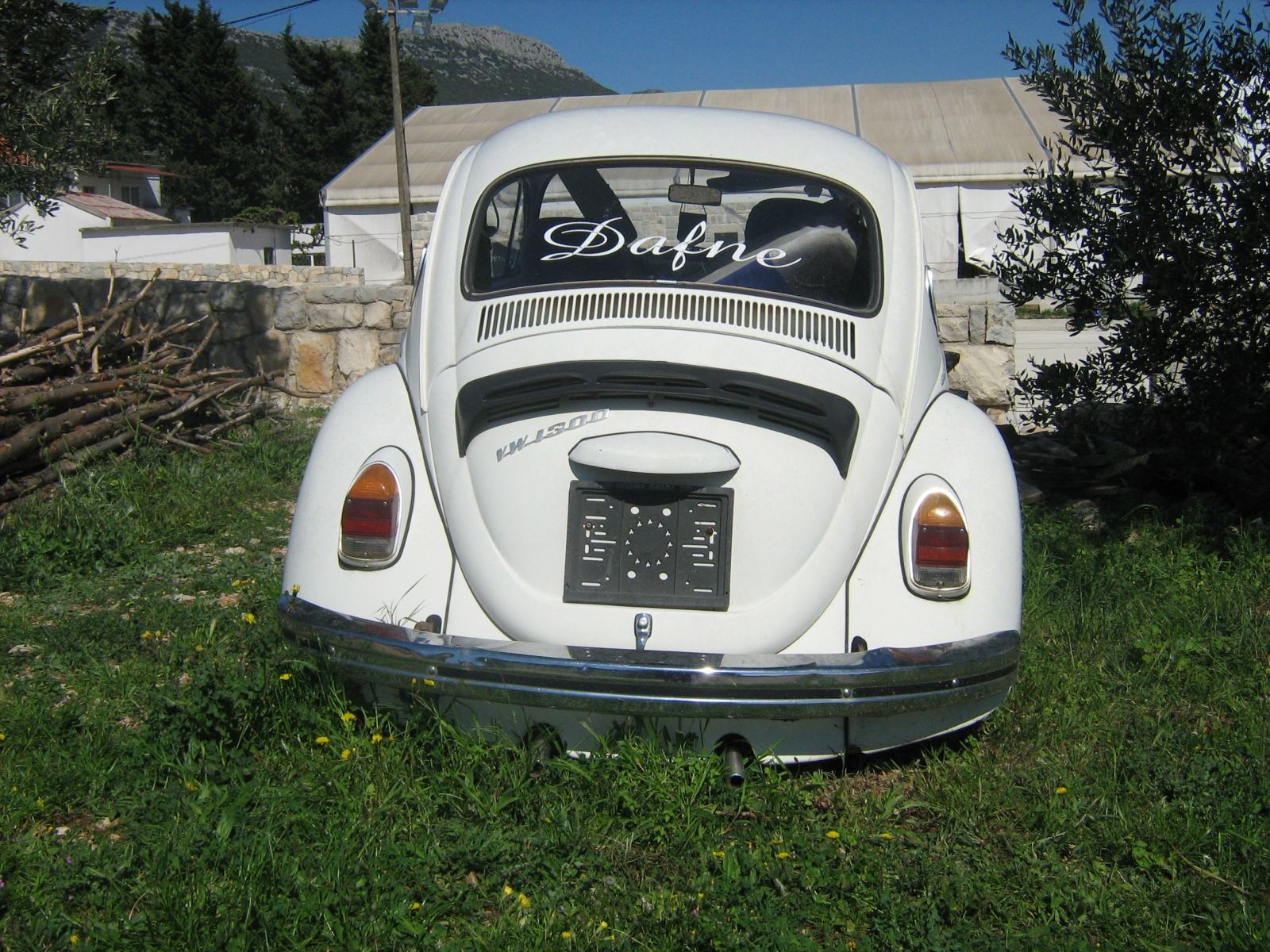 VW BUBA