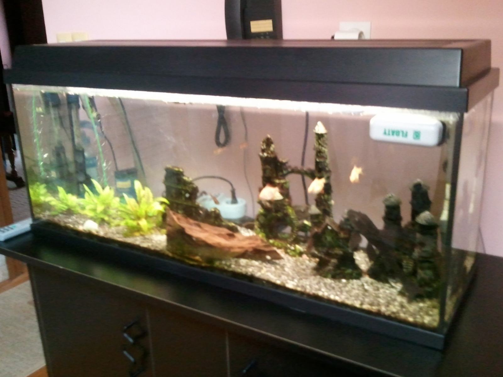 Akvarij 120l sa svom opremom