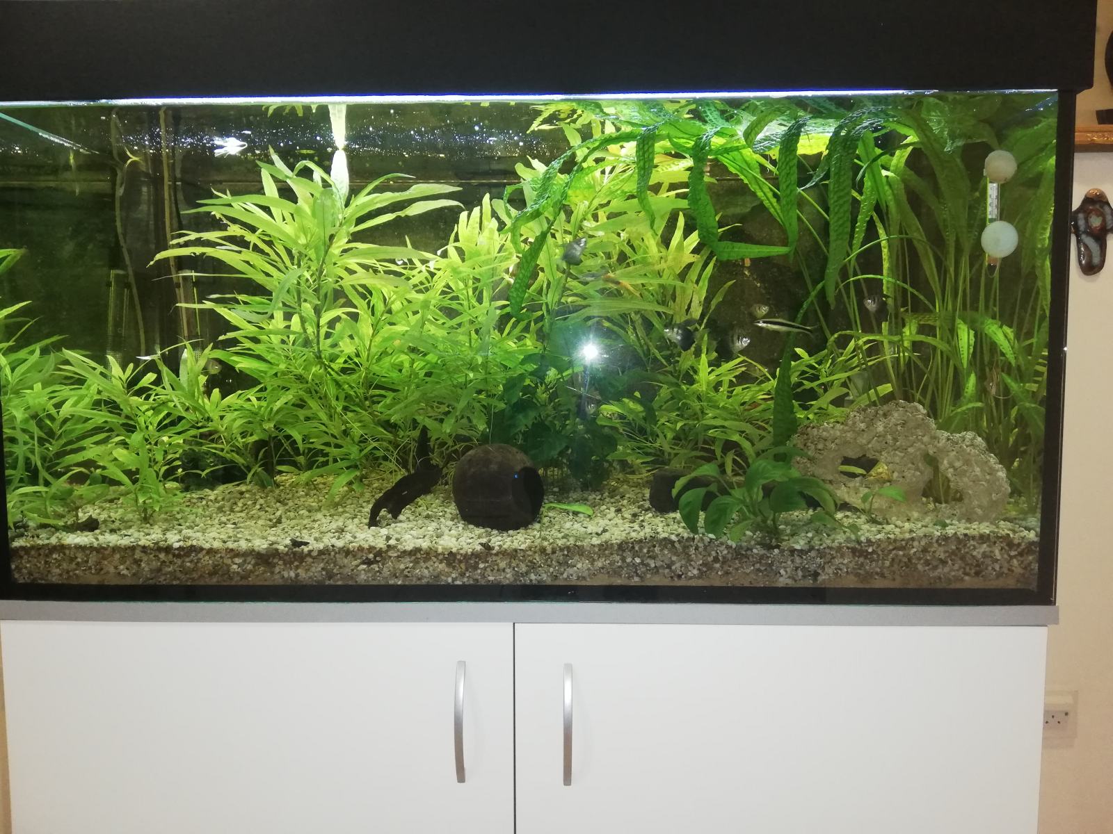 AKVARIJ 250 L