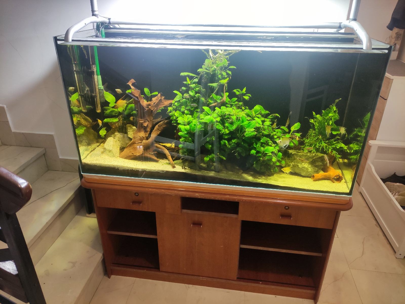 Akvarij 300L sa svom opremom