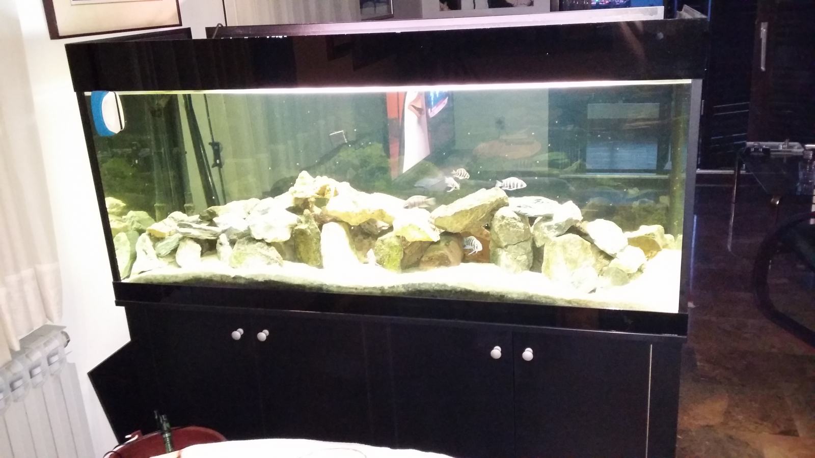 AKVARIJ 500L