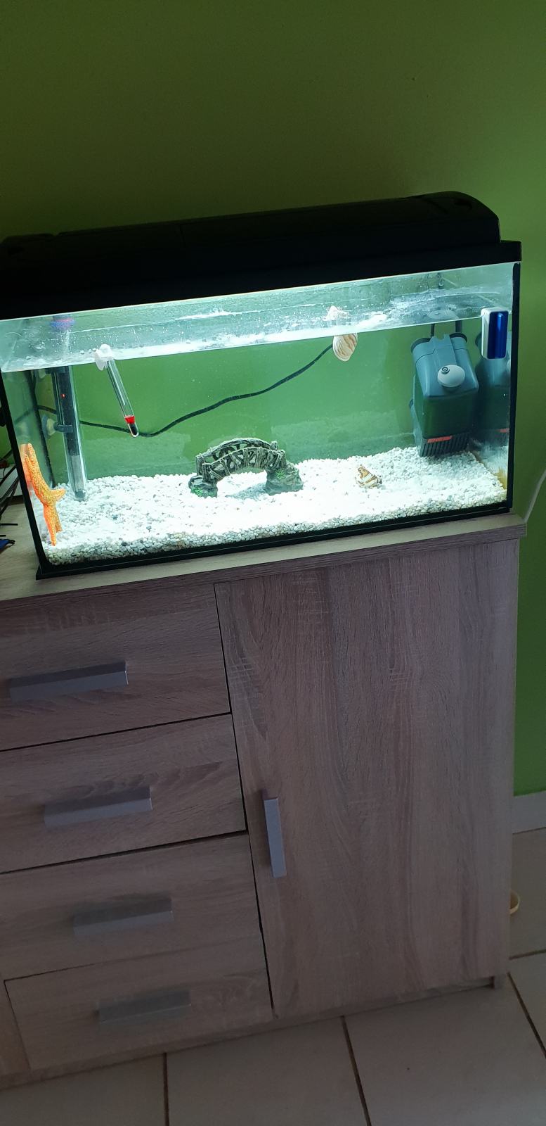 Akvarij 50l