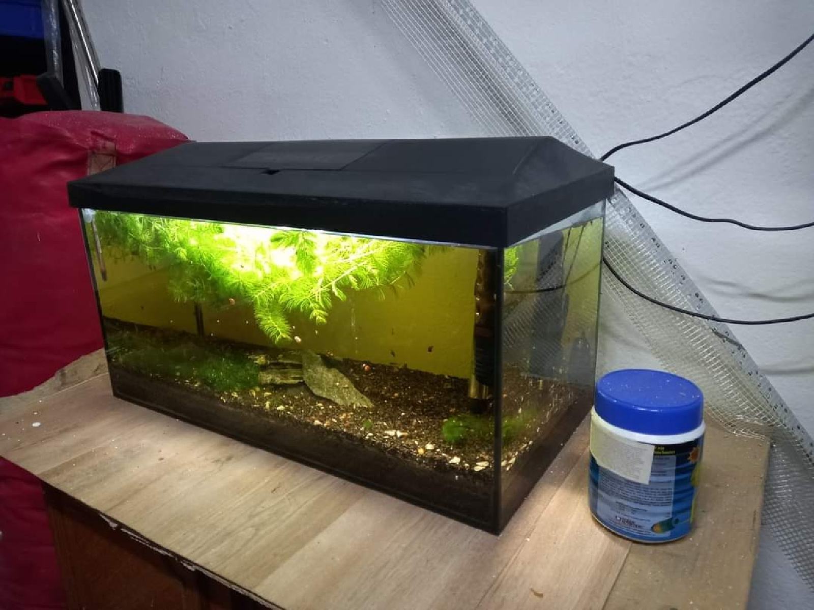 Akvarij 54L sa svom opremom