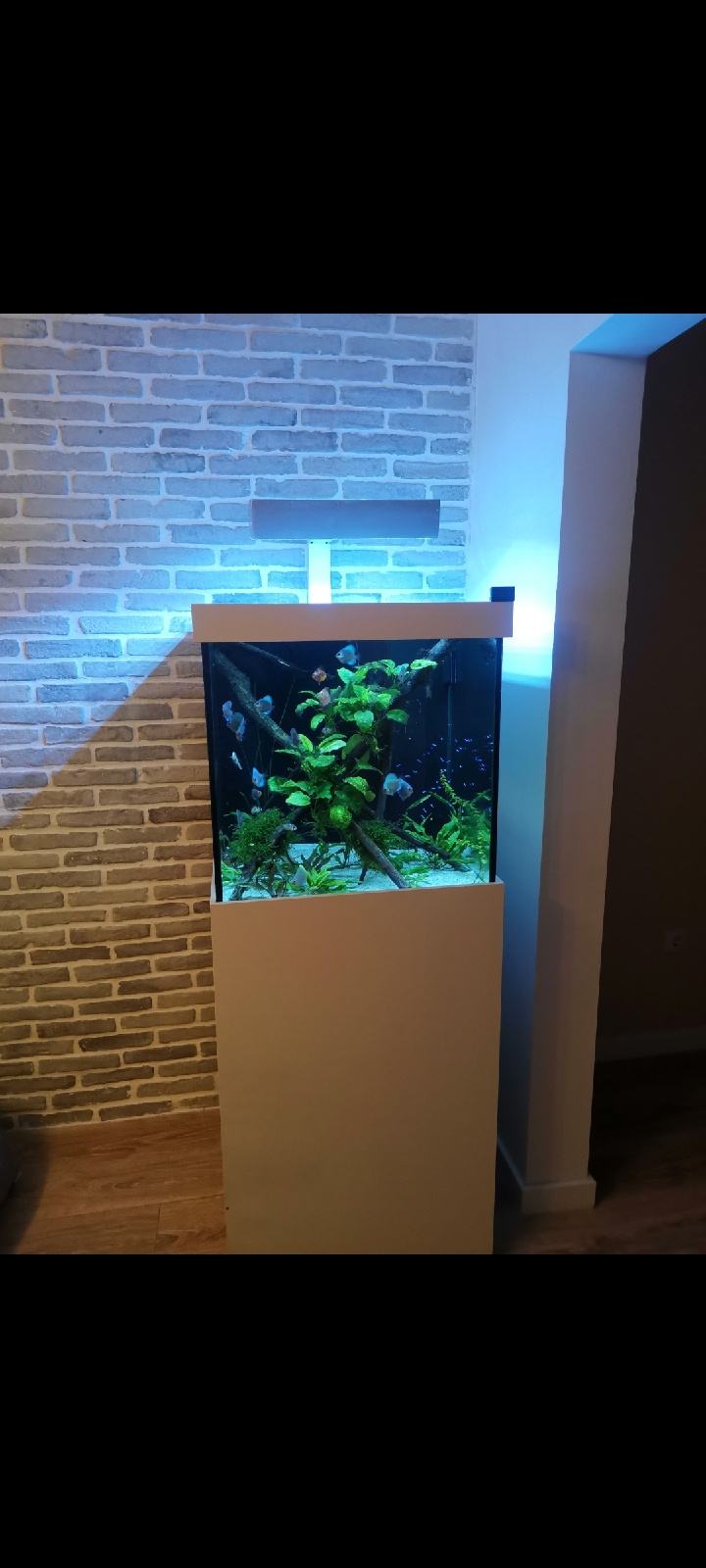 Akvarij 60x60x60