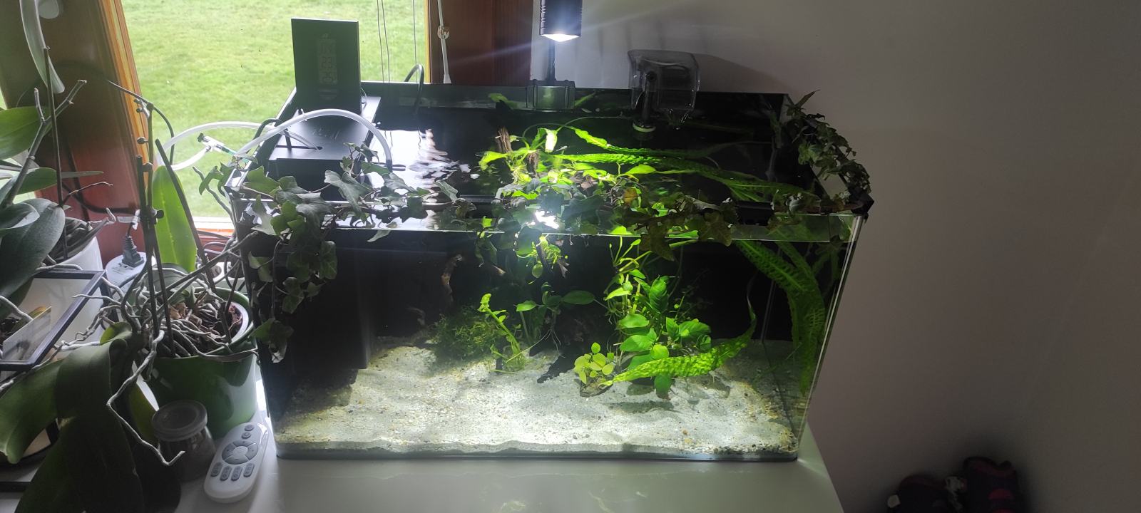 Akvarij NOVI 80L komplet čitaj