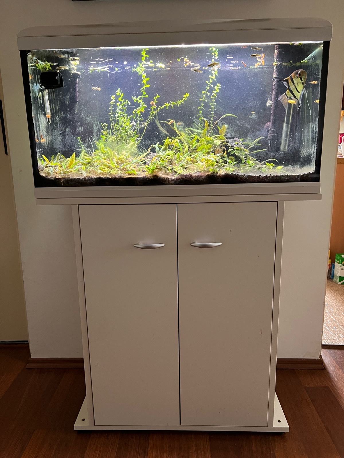 Akvarij juwel 100l