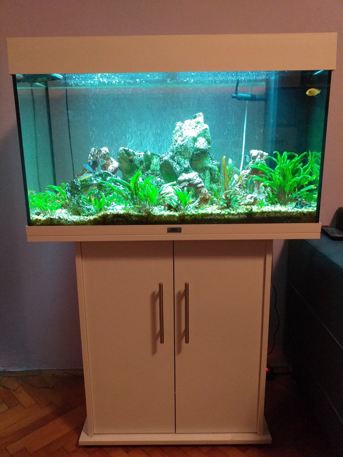 Akvarij juwel rio 125 s ormarićem