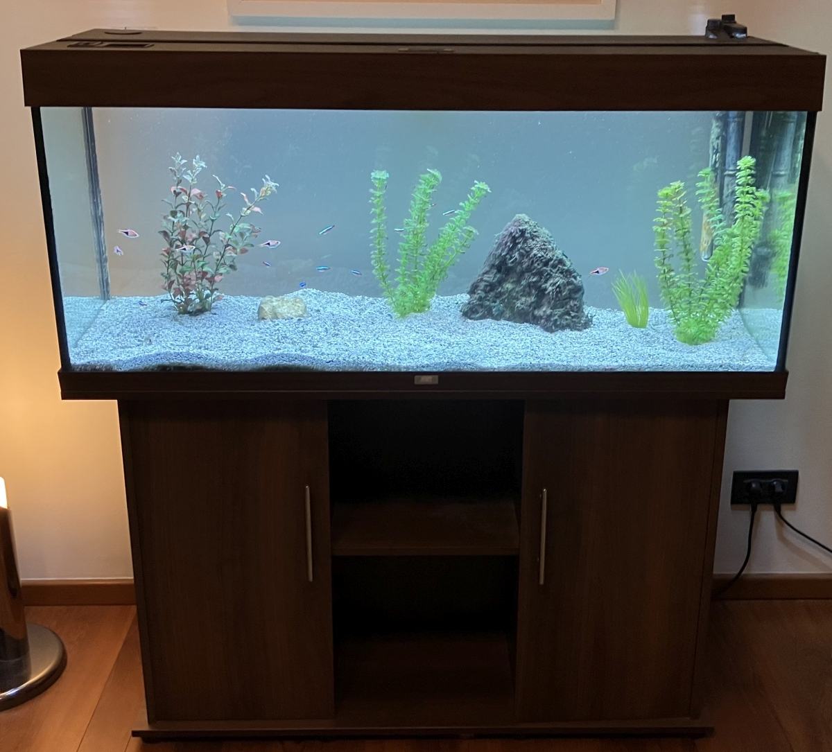 Akvarij Juwel Rio 240 LED, Juwel ormarić, filter Eheim Professionel