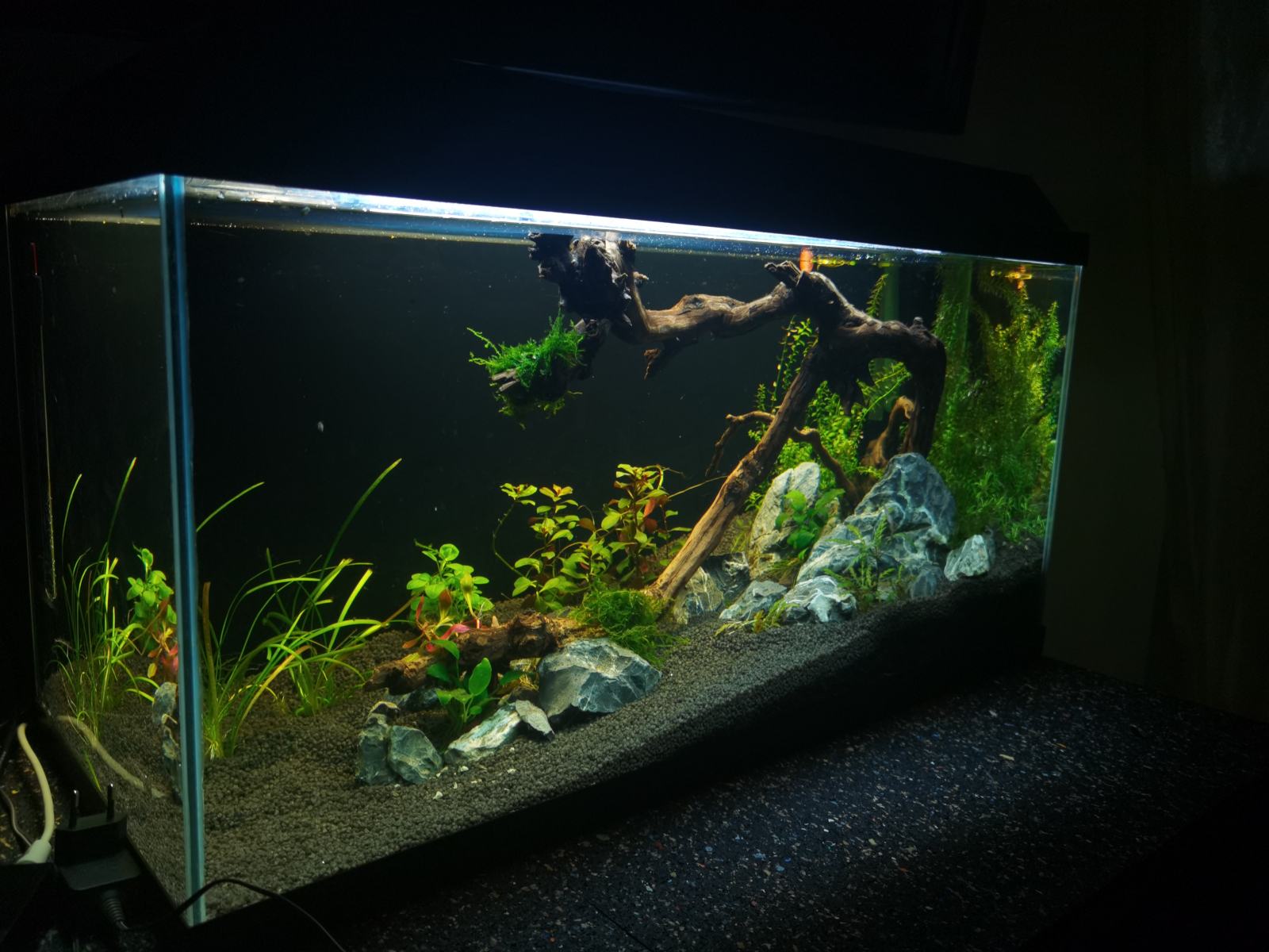 Akvarij sa kompletnom opremom , biljkama i ribicama