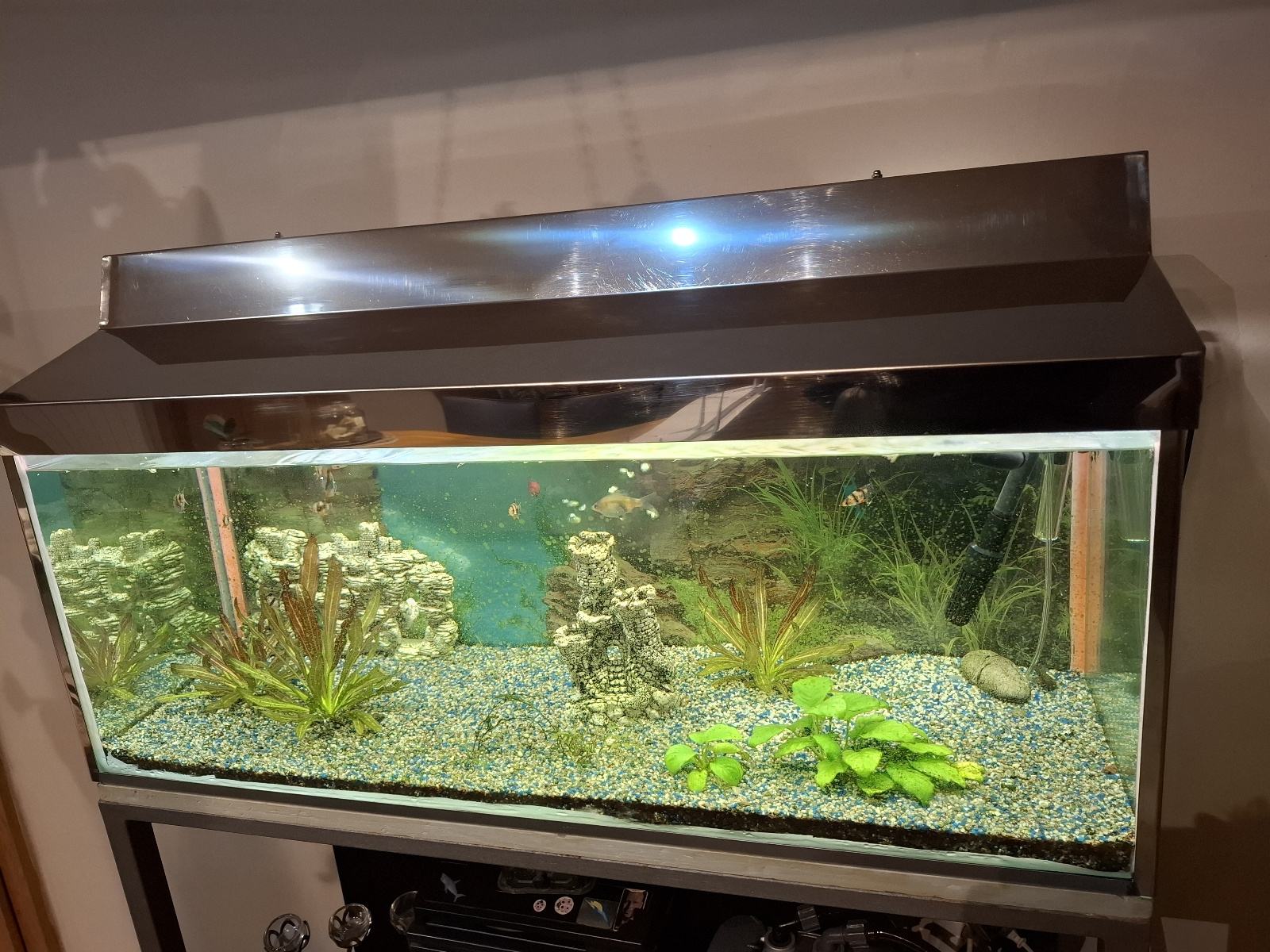 Akvarij 140l sa svom opremom