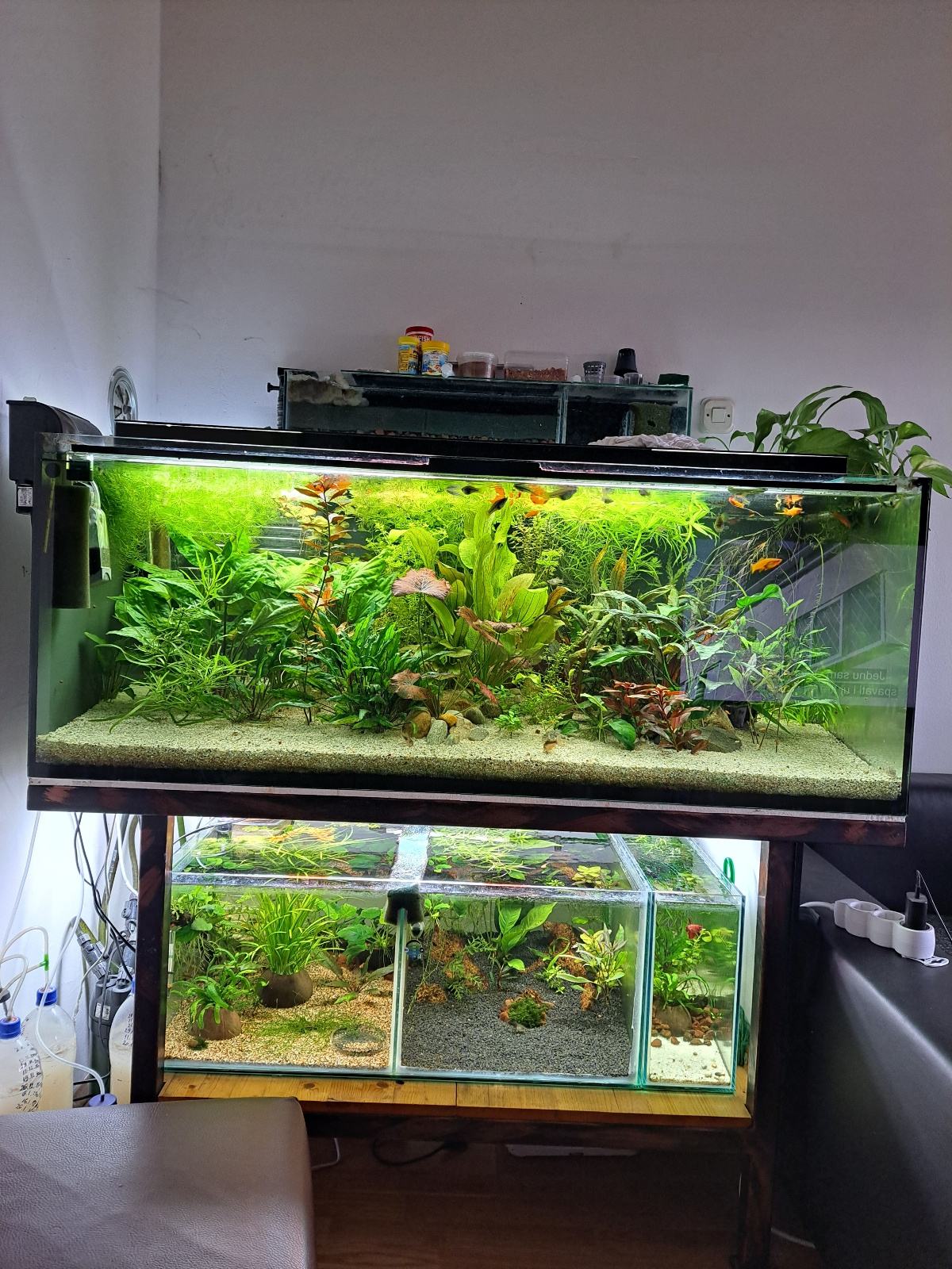 Akvarij450 lit.+ stalak