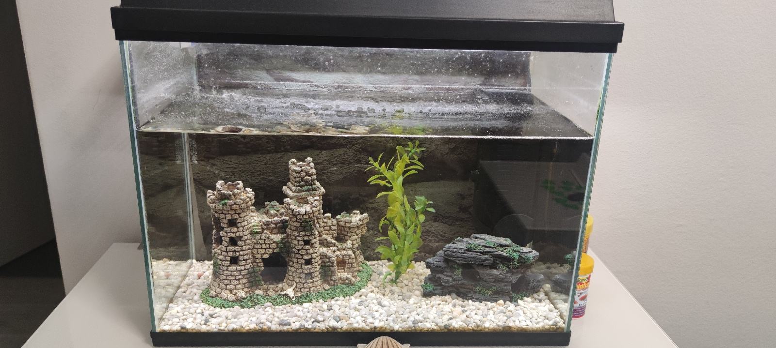 Akvarij sa svom opremom + 1 ribica