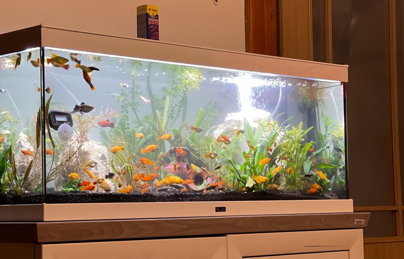 Aquatlantis akvarij *SPREMAN ZA RIBICE*