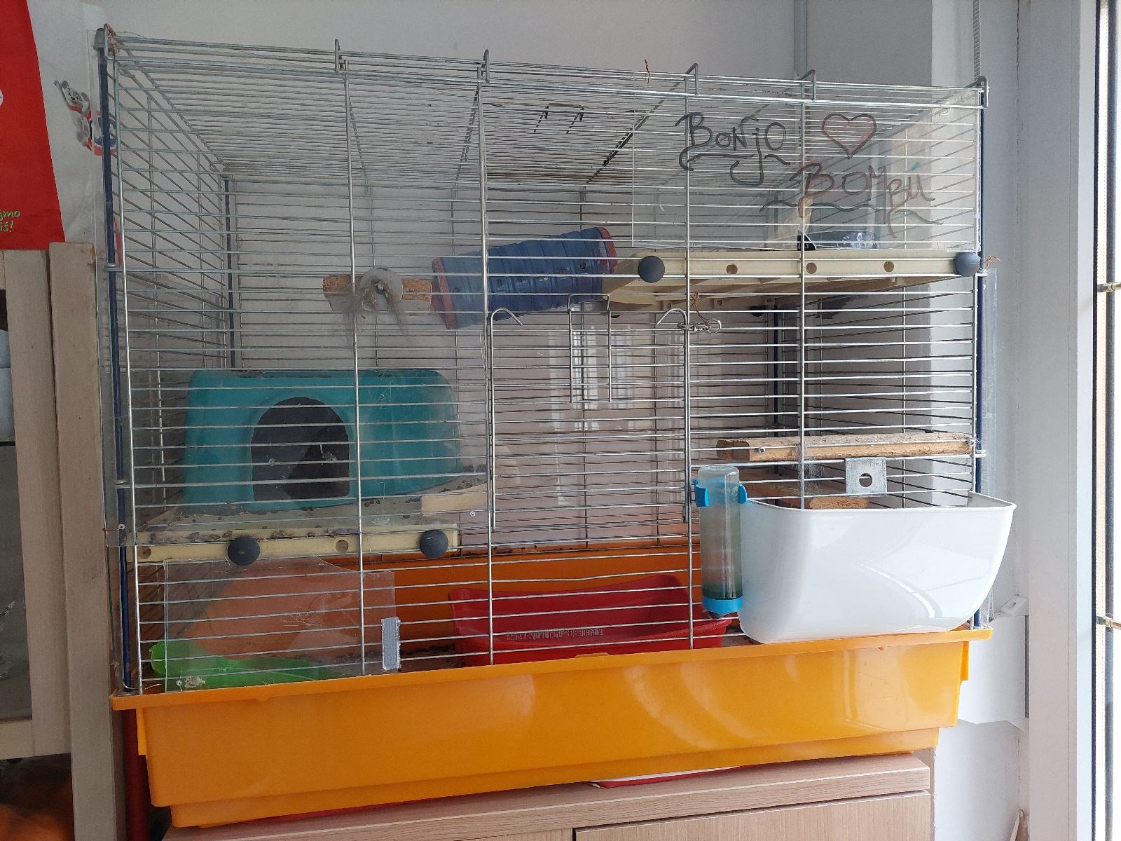 kavez za glodavce činčilu