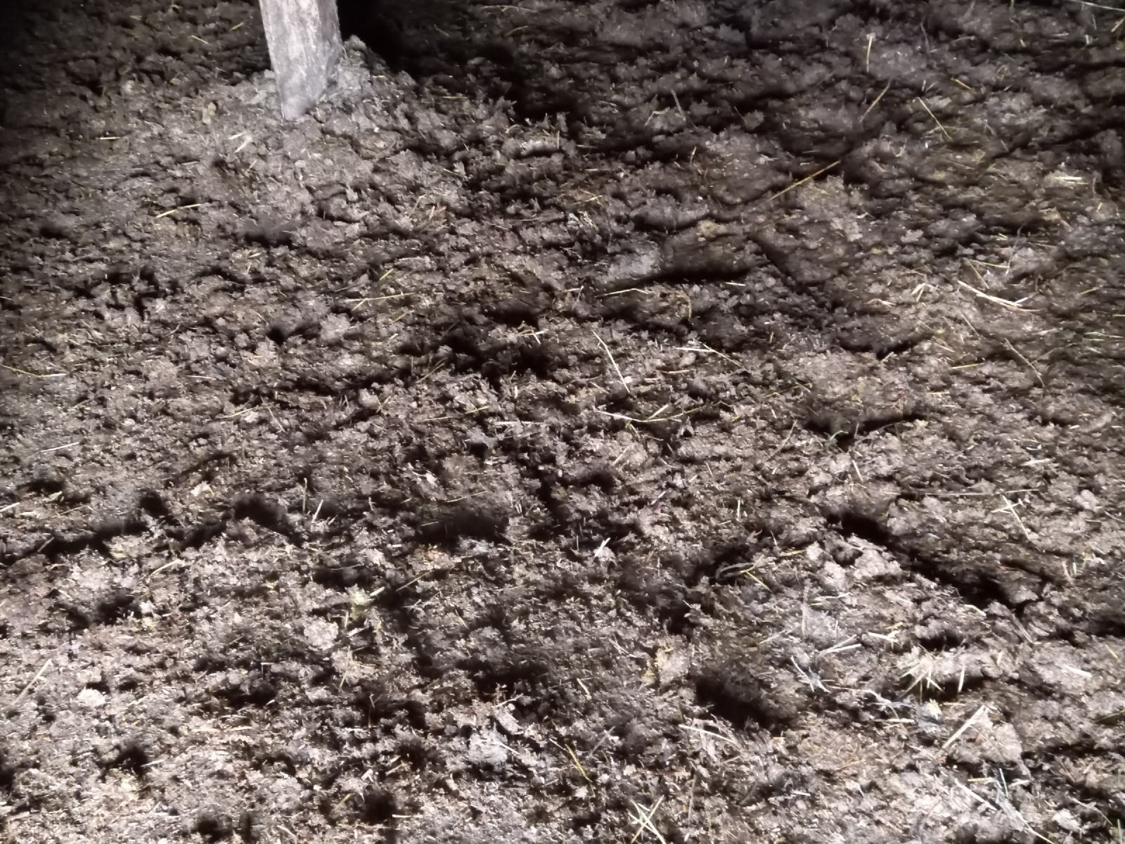 Prodajem konjski stajski gnoj