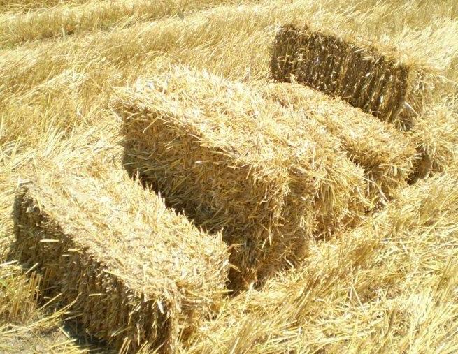 bale - slama - bale slame - kockaste bale