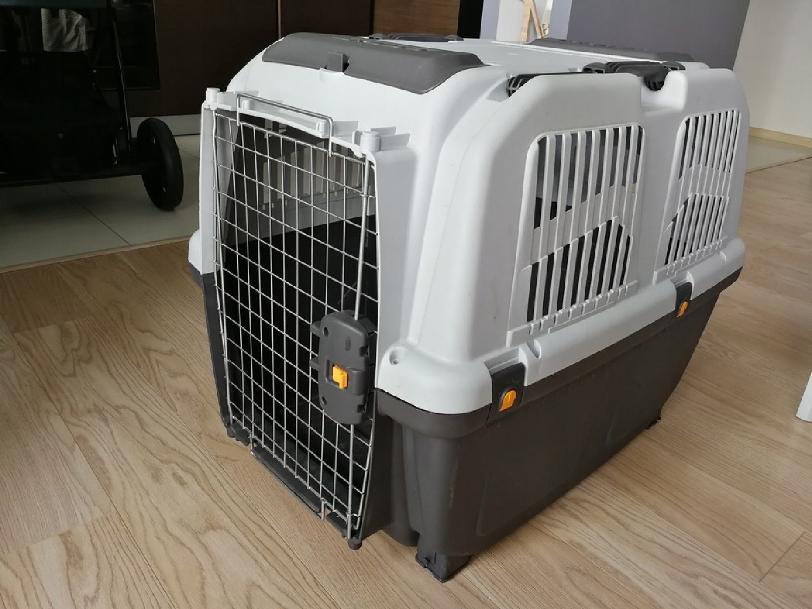 Transporter za pse Scudo 5