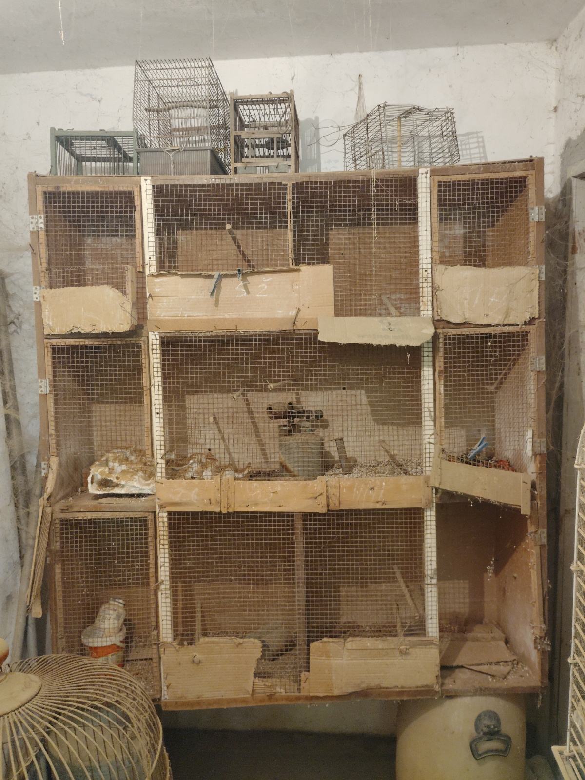 STARI KAVEZI ZA PTICE