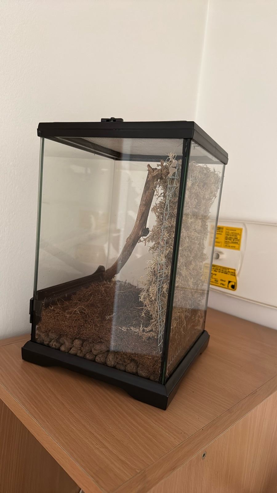 Exo Terra stakleni terarij Nano/Tall 20×20×30 – NOVO