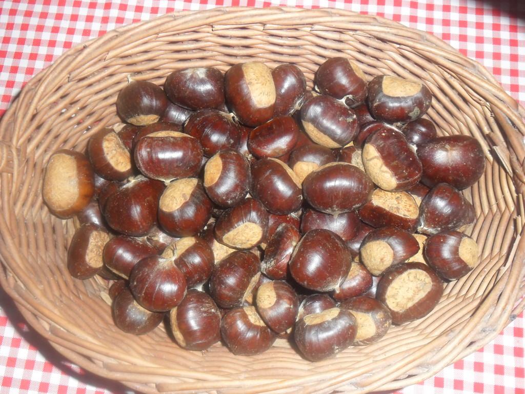 KESTENI