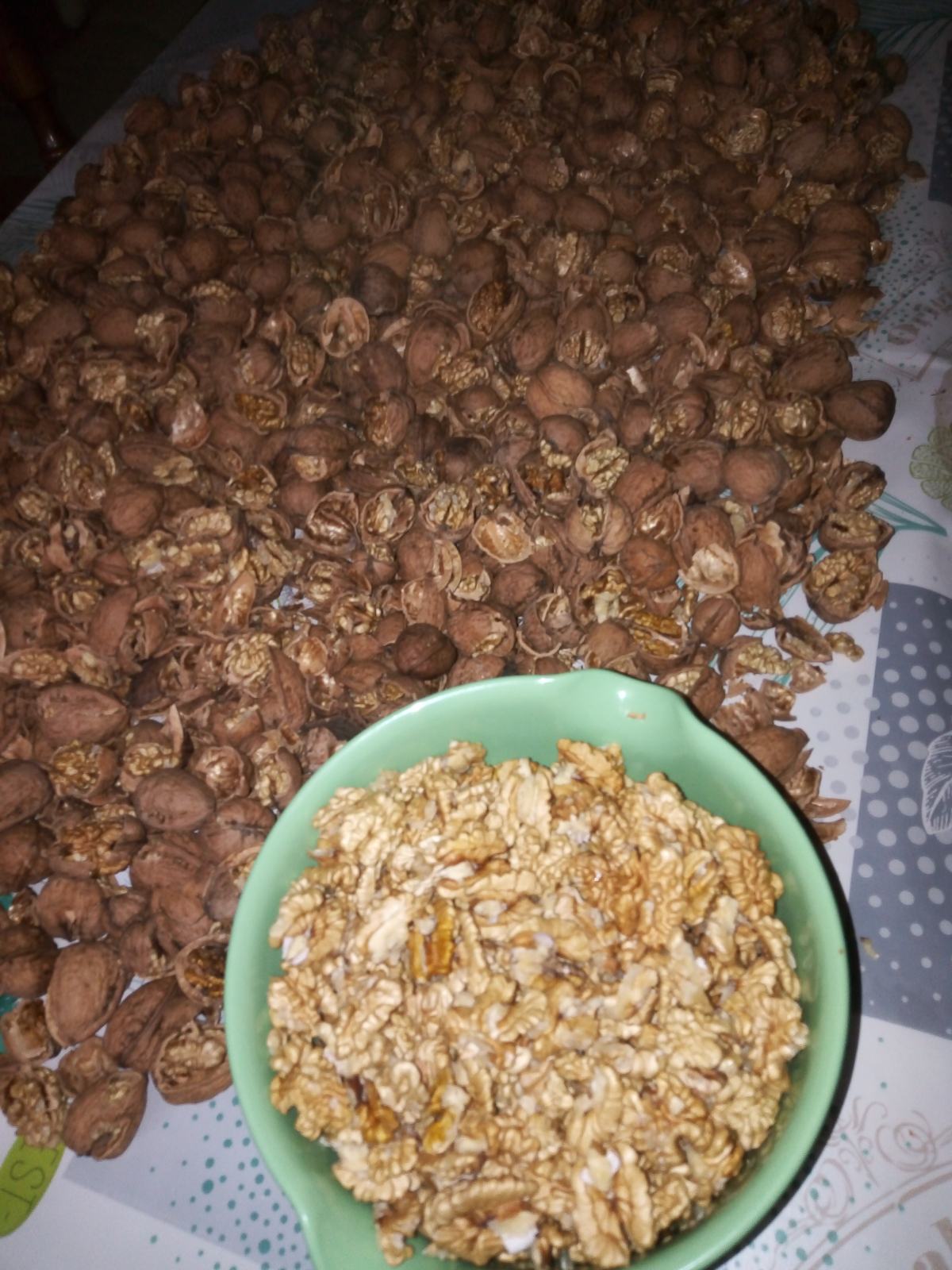 Orasi