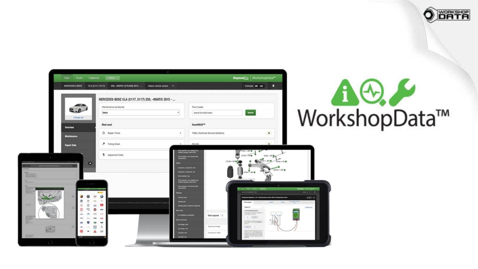 Haynes Pro Workshop Data Online Alldata Autodata Auto data 2025