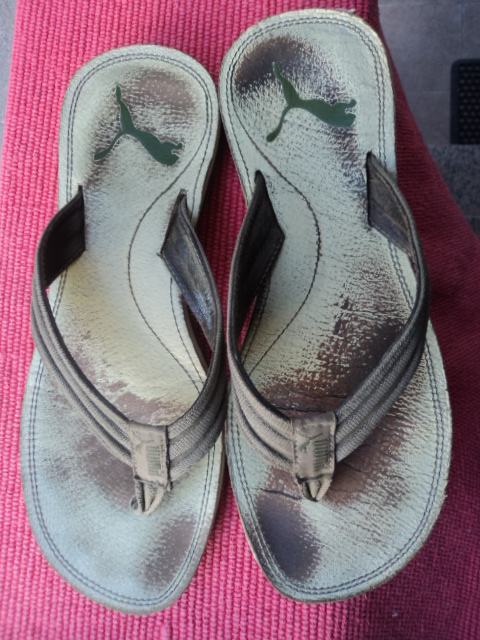 Japanke muške br.42,43 Puma