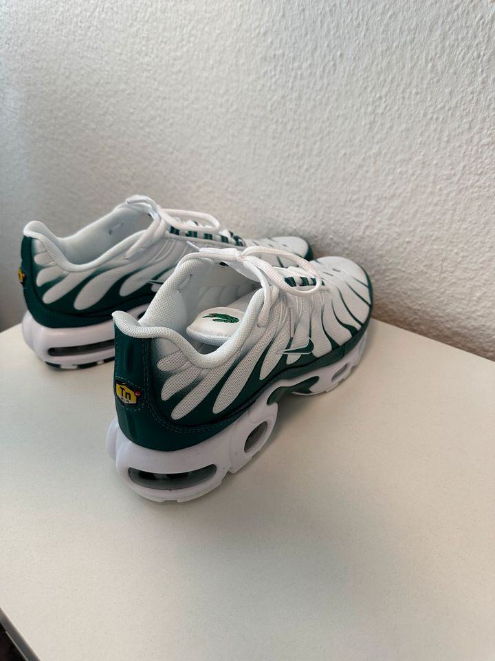 Nike Tn x Lacoste (limited edition)