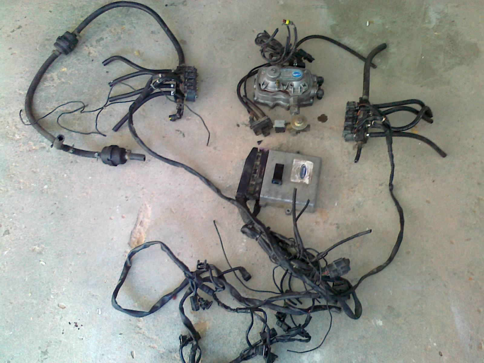 AUTO PLIN -TARTARINI-BMW