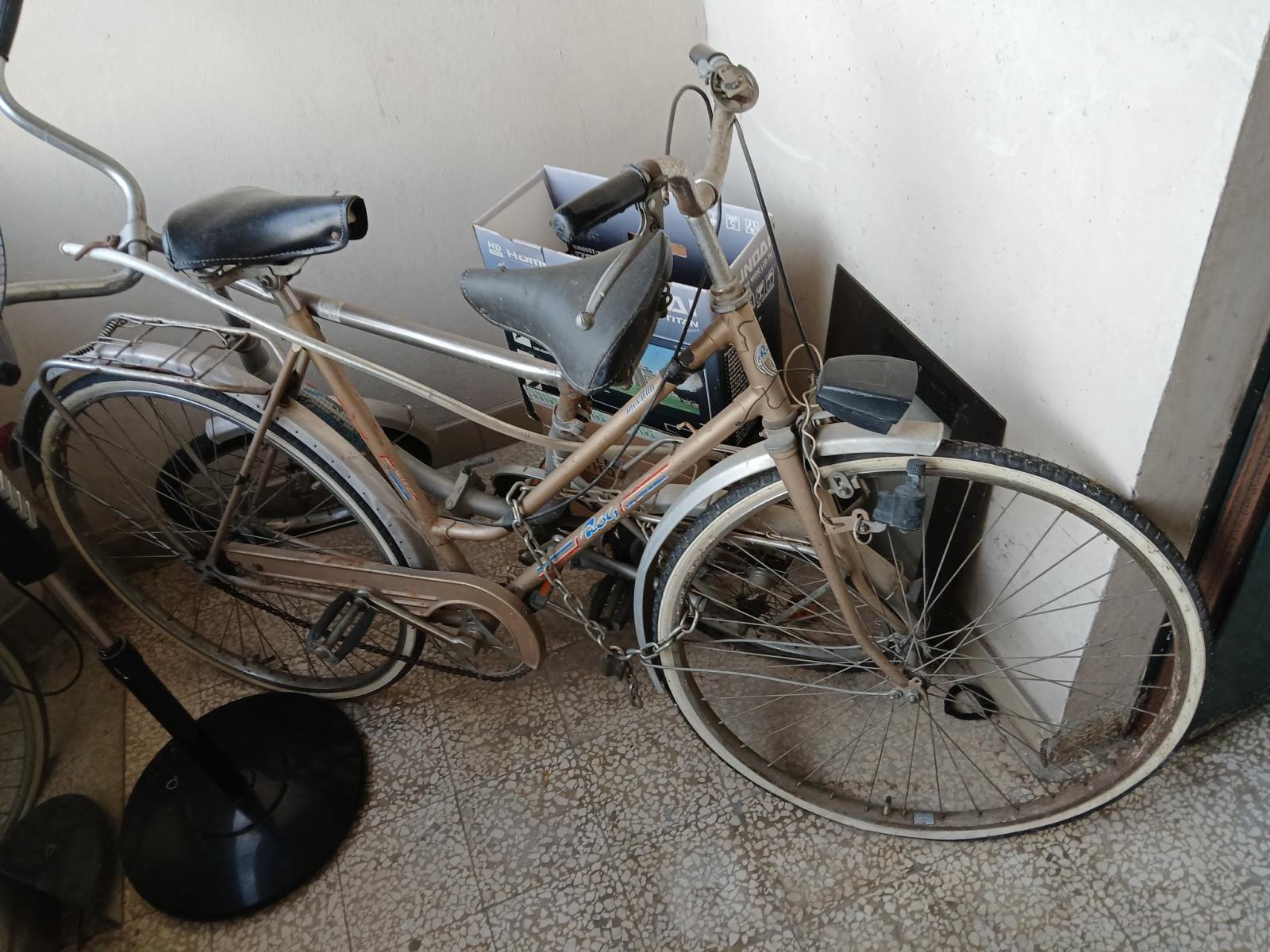 Rog Maestral i Unis Adriatic