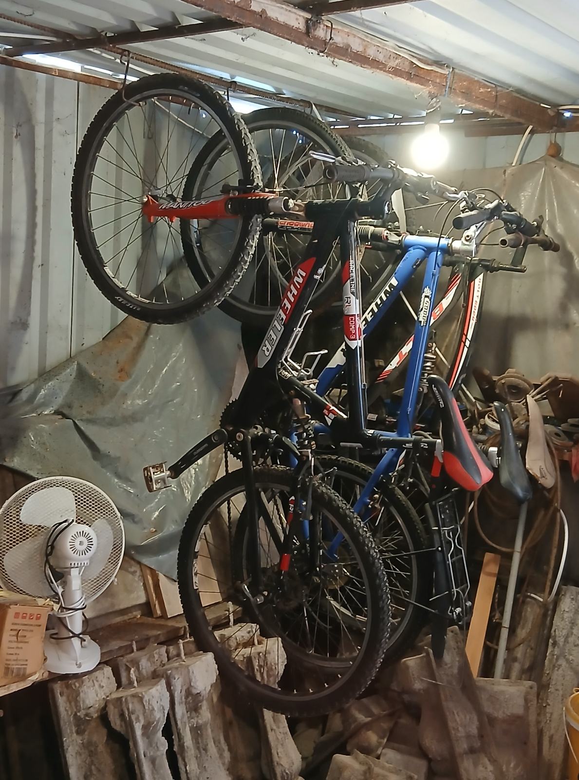 Wheeler i Bolt bicikli