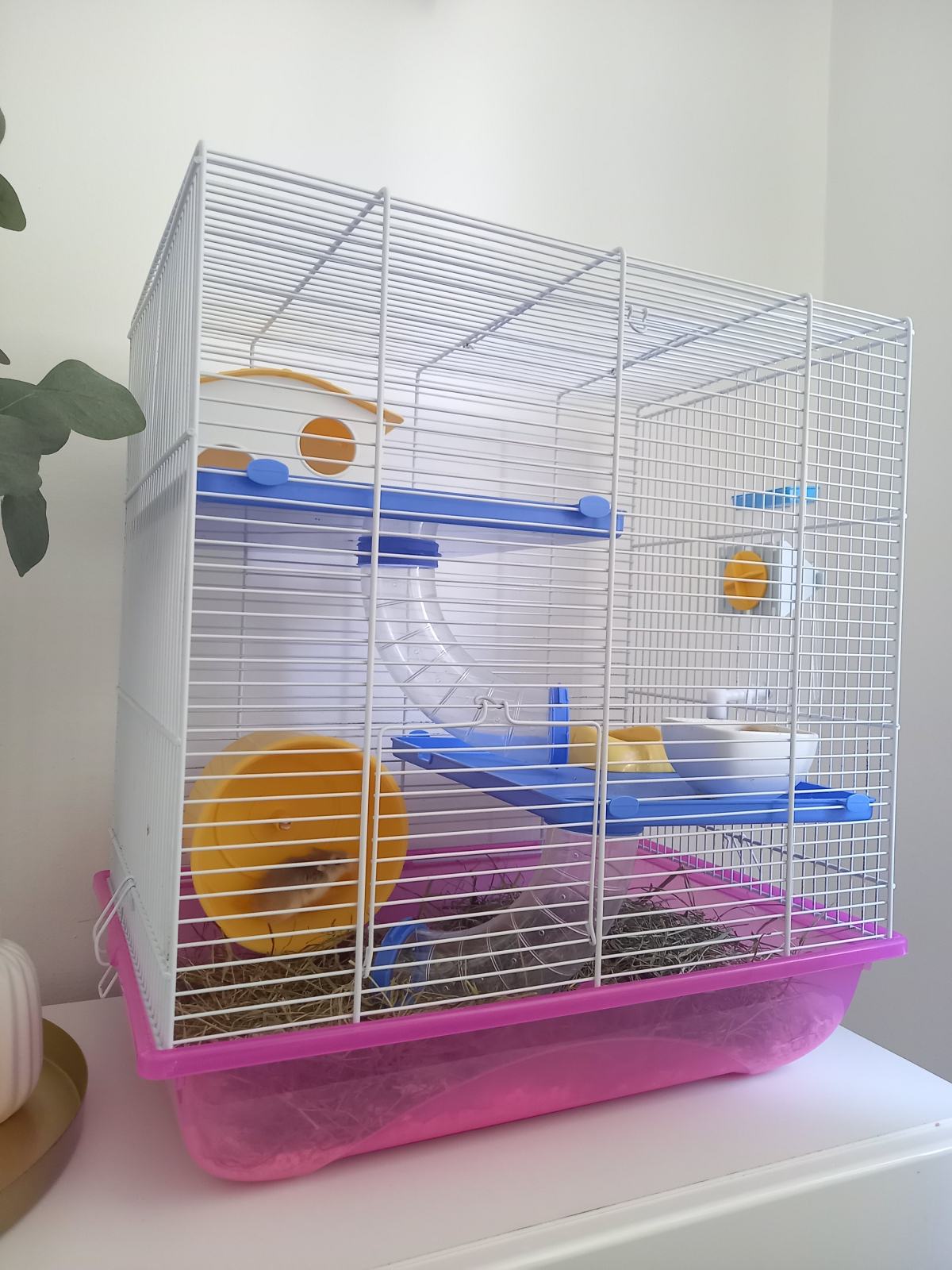 Hrčak i kavez 200 kn