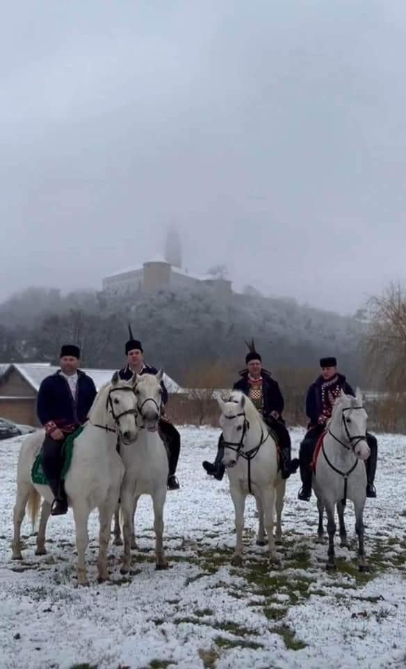 LIPICANAC KASTRAT,PRODAJA ILI ZAMJENA