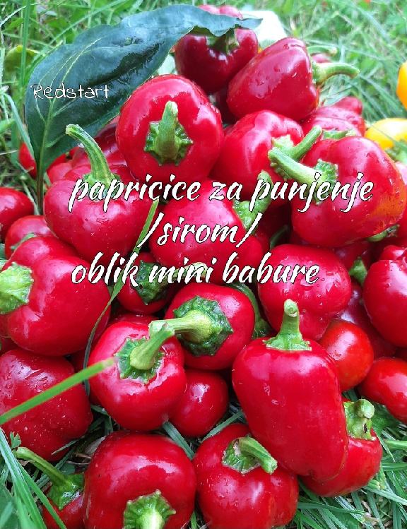 Slatke papricice za punjenje sirom/Redstart/( oblik mini babure)