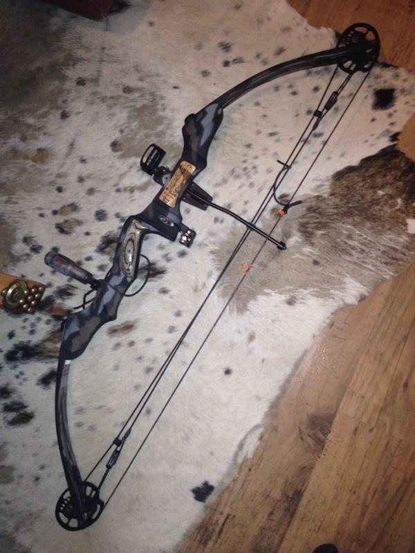 Luk Martin cougar speed flite dual cam