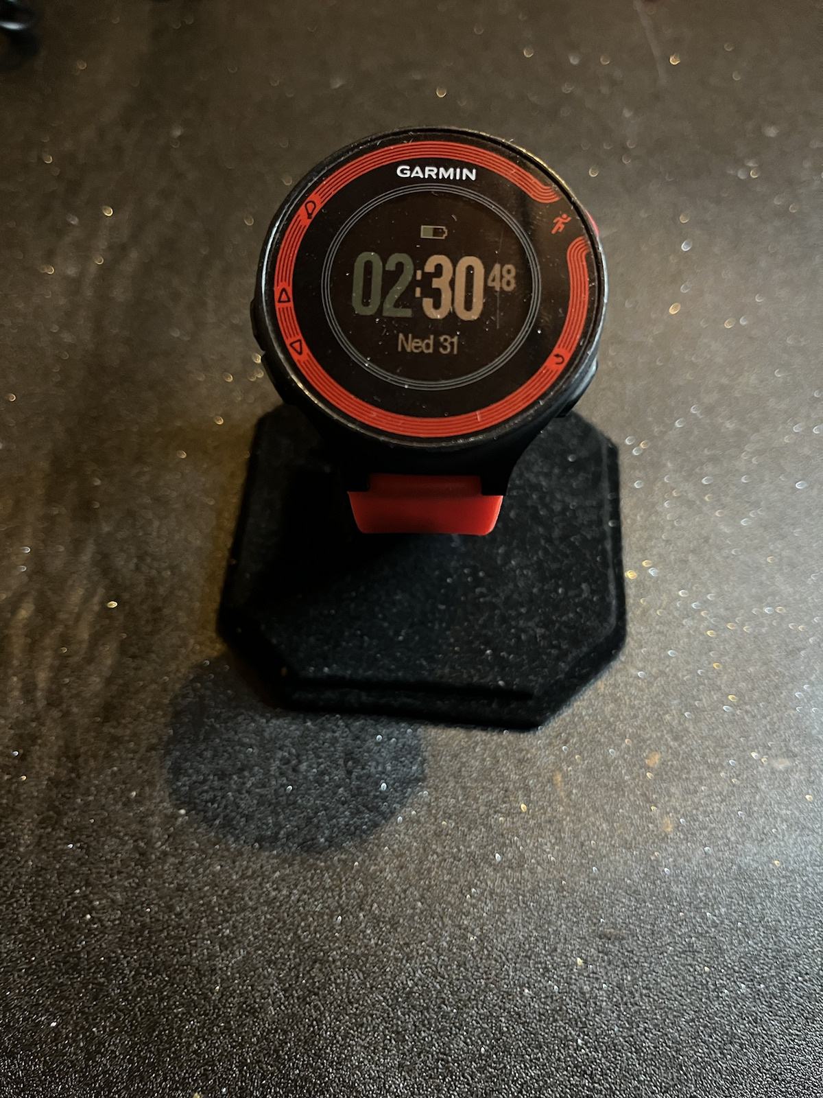 Garmin Forerunner 220