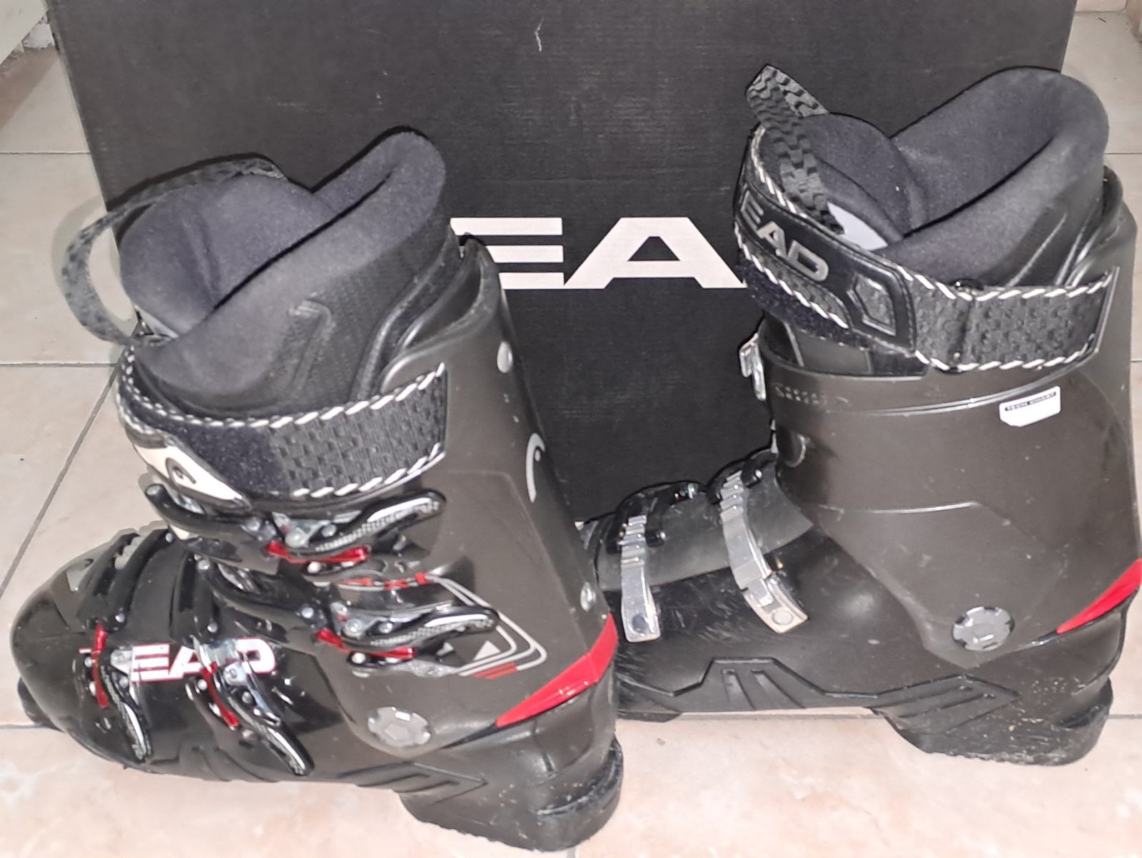 Head pancerice broj 42