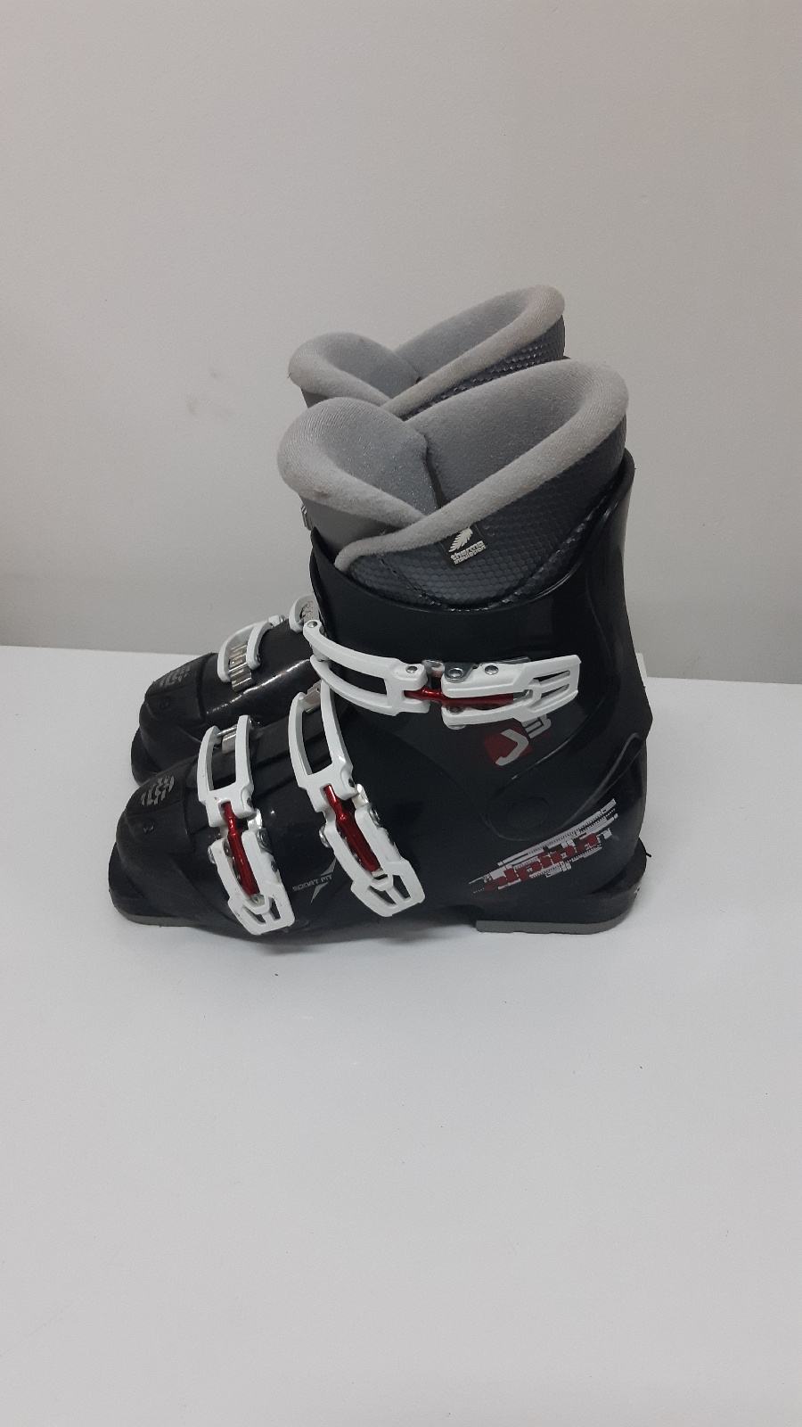 Pancerice Alpina br. 37