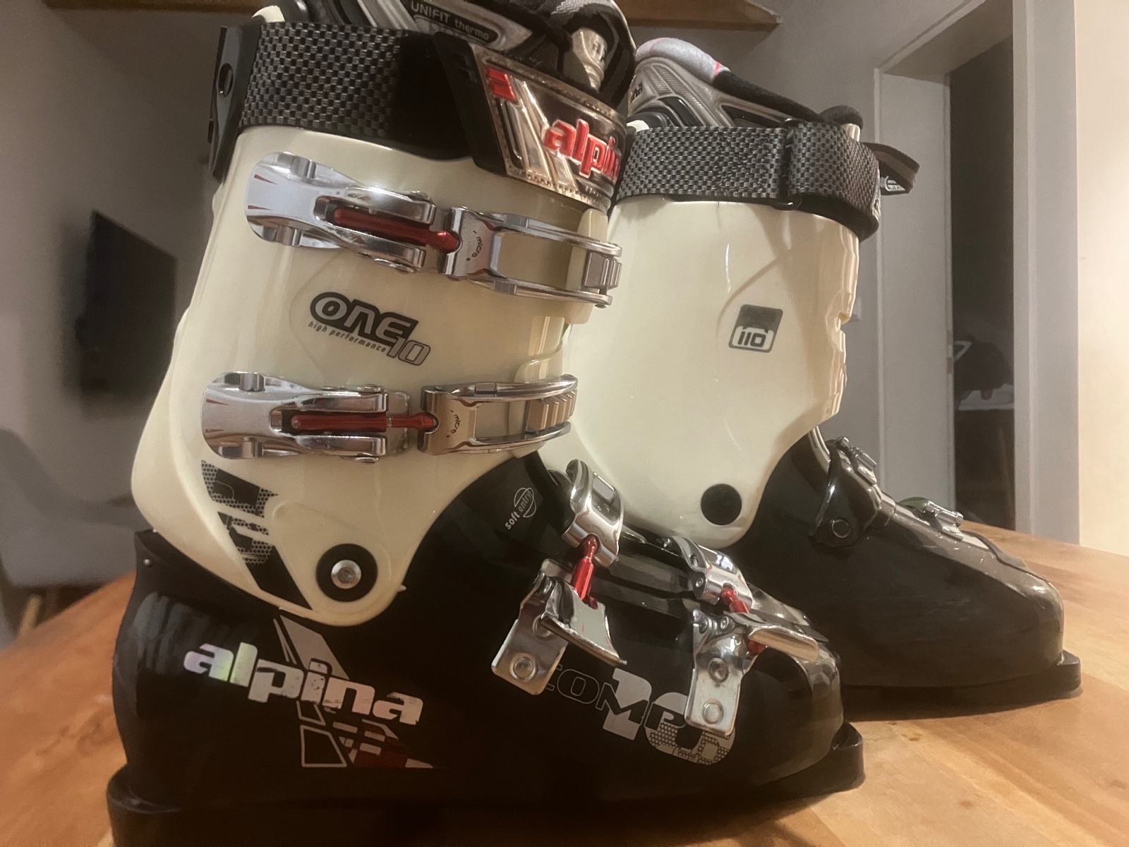 Pancerice Alpina Comp10