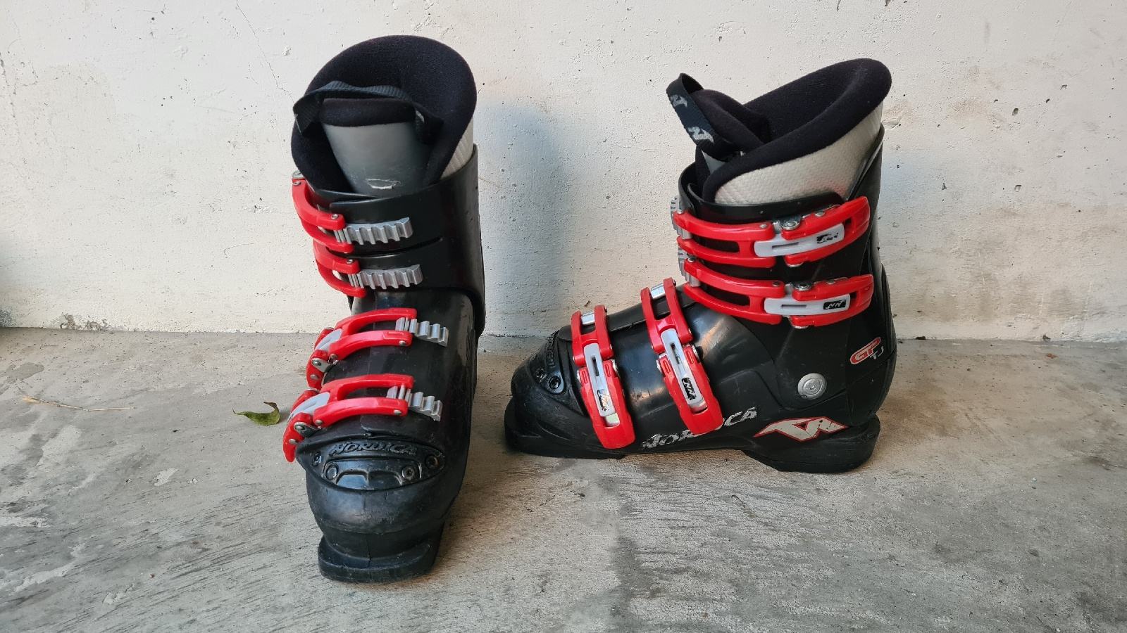 Pancerice Nordica mondo 21