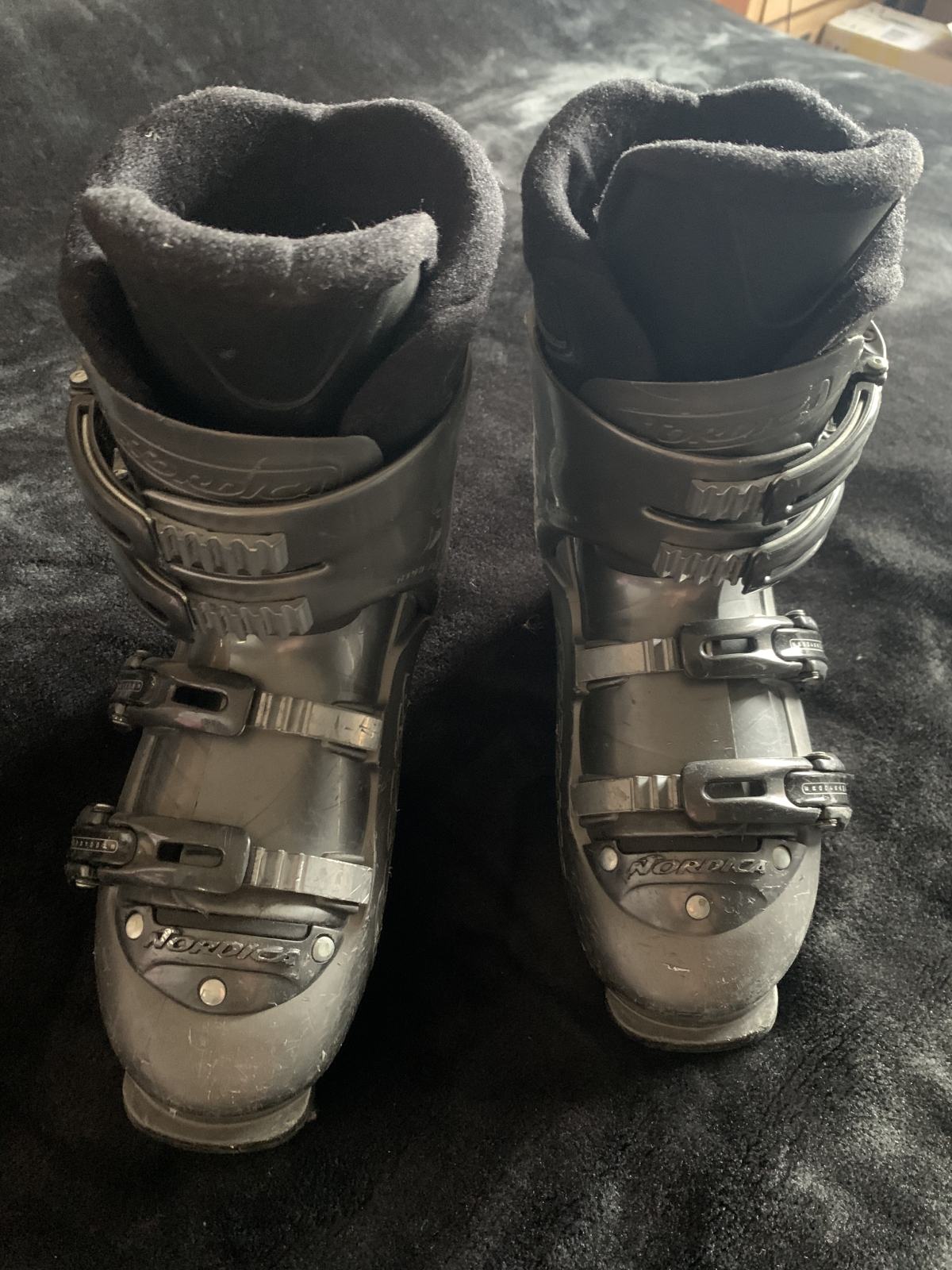 Pancerice Nordica 39