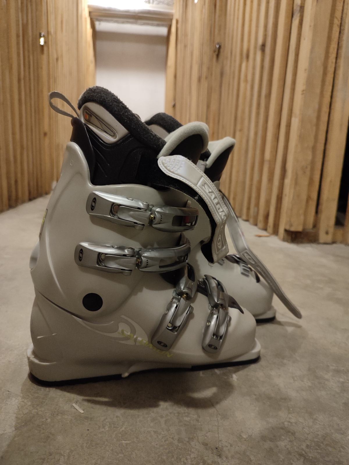 Pancerice Salamon, br. 39