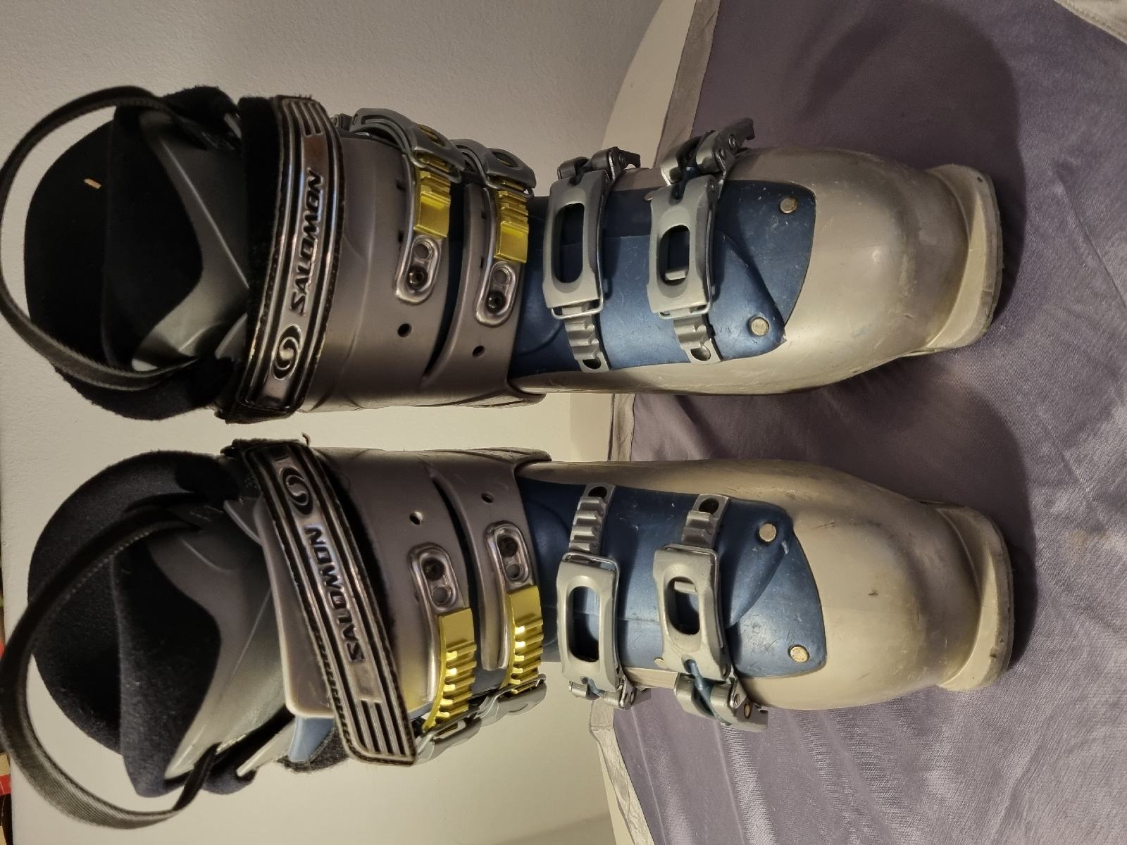 Pancerice ( Salomon )