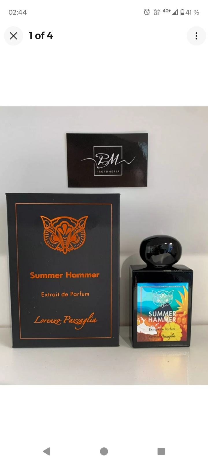 lorenzo pazzaglia summer hammer